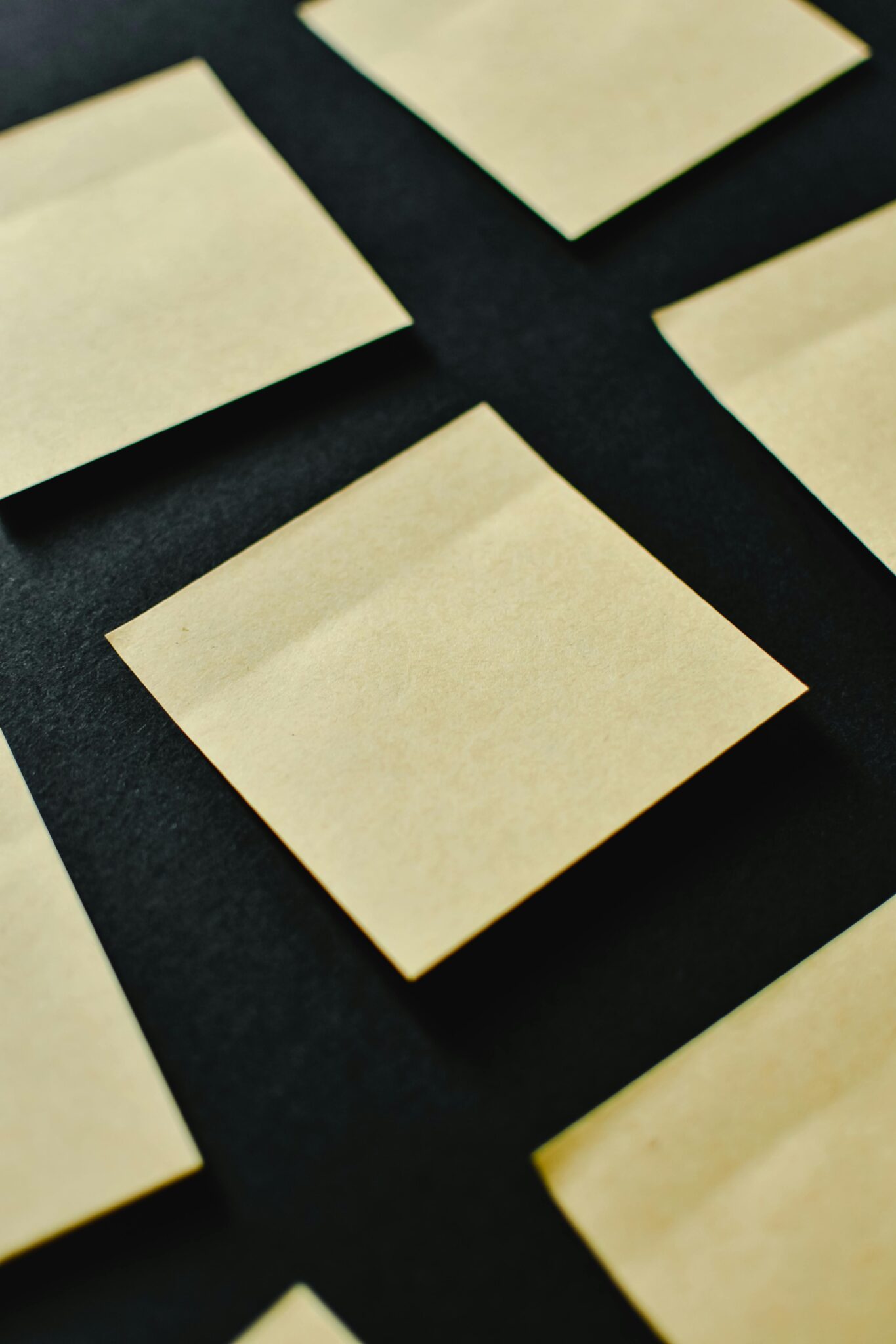 Master Modern Canasta with these pro tips from Sue Silberstein ...